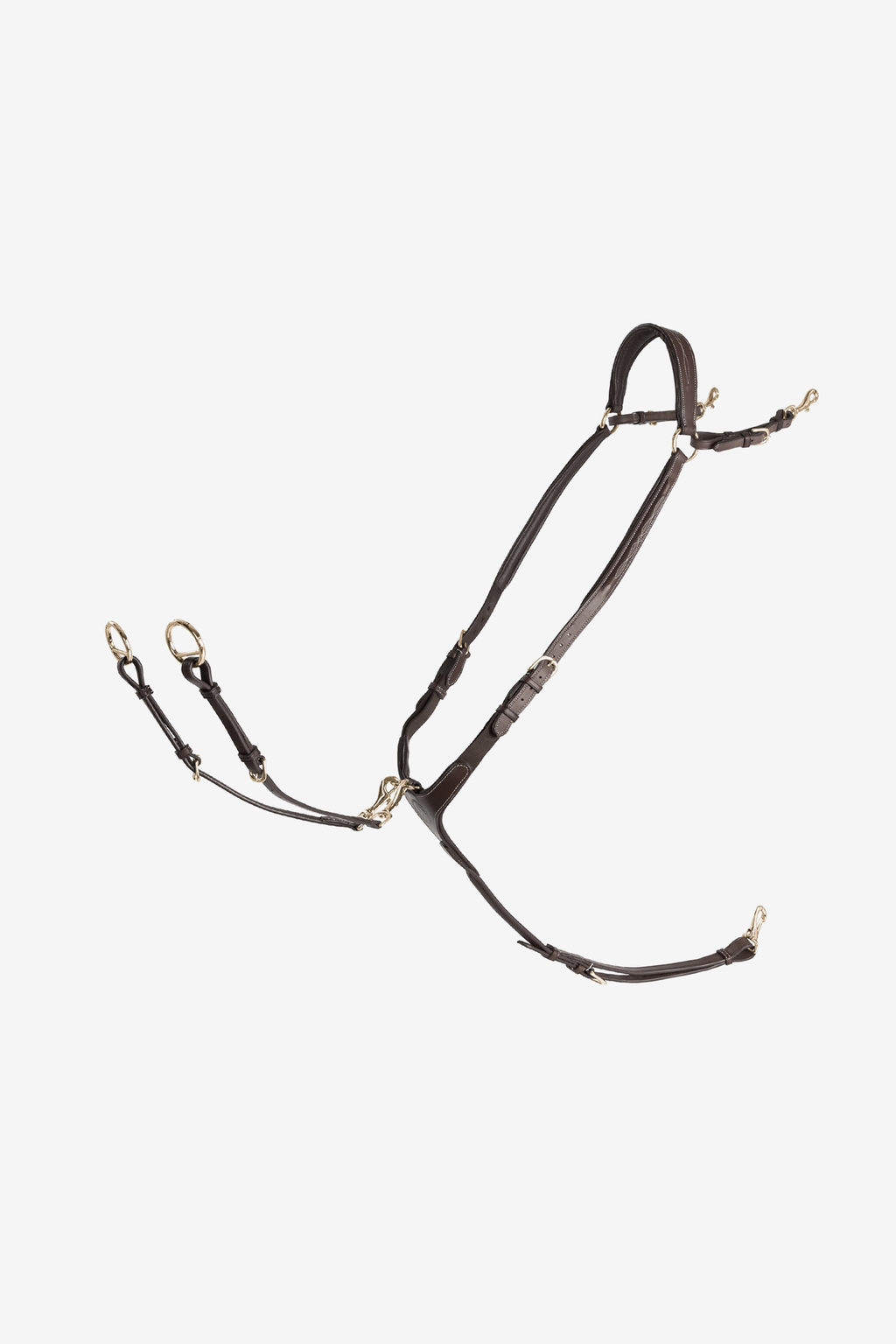 Fazzino Förbygel med Martingal – Svensk Ridsport