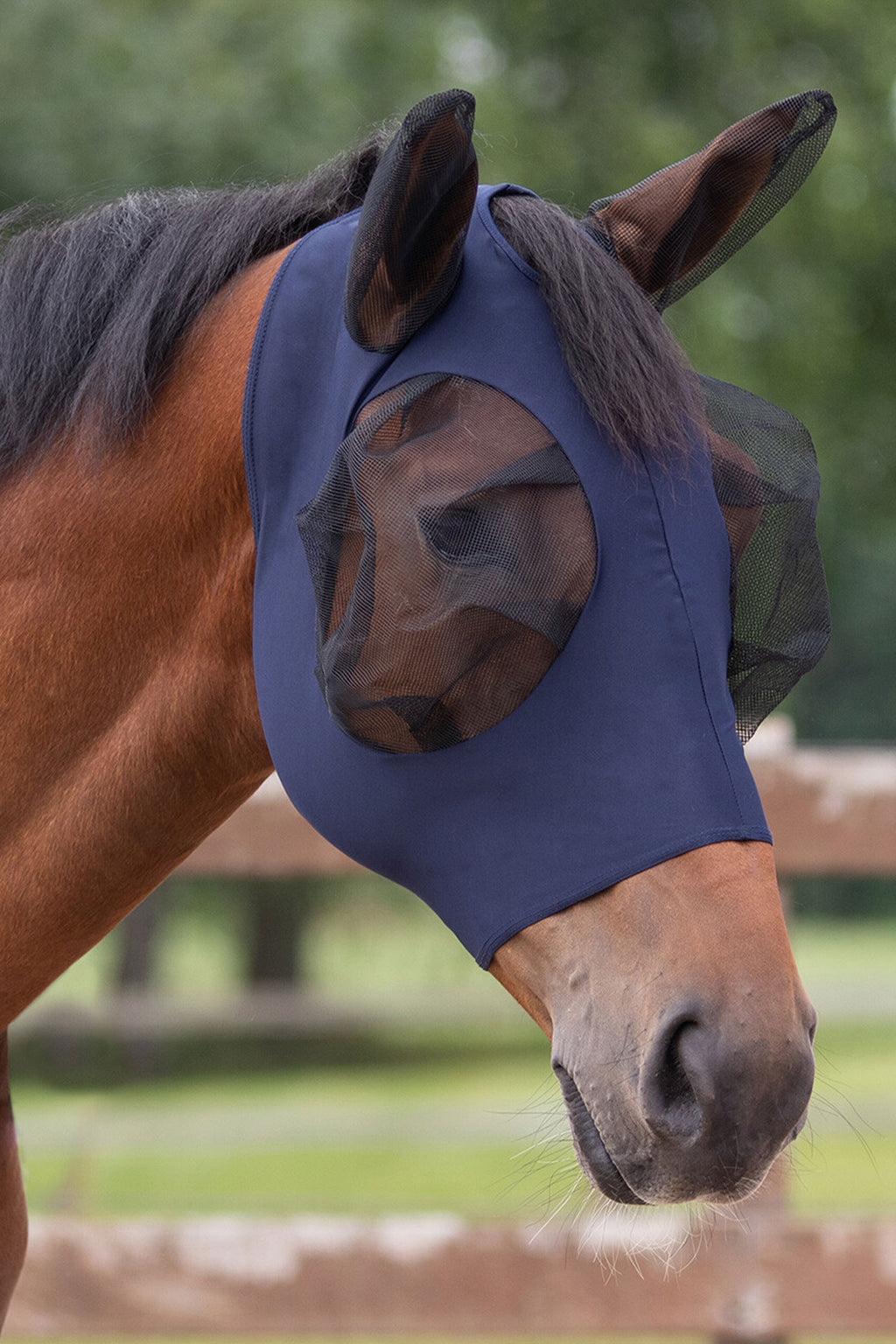 Flughuva Navy – Svensk Ridsport