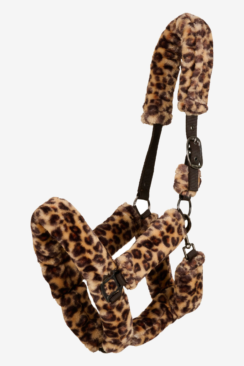 Leopard grimma – Svensk Ridsport