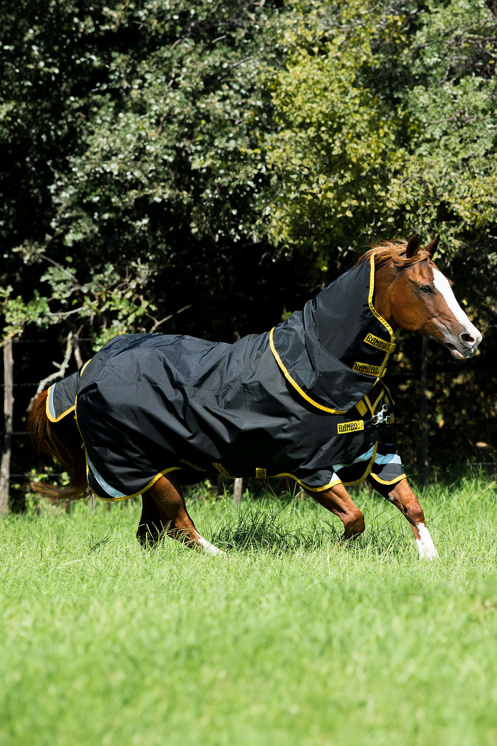 Rambo Supreme Regntäcke + hals 0g Svart – Svensk Ridsport