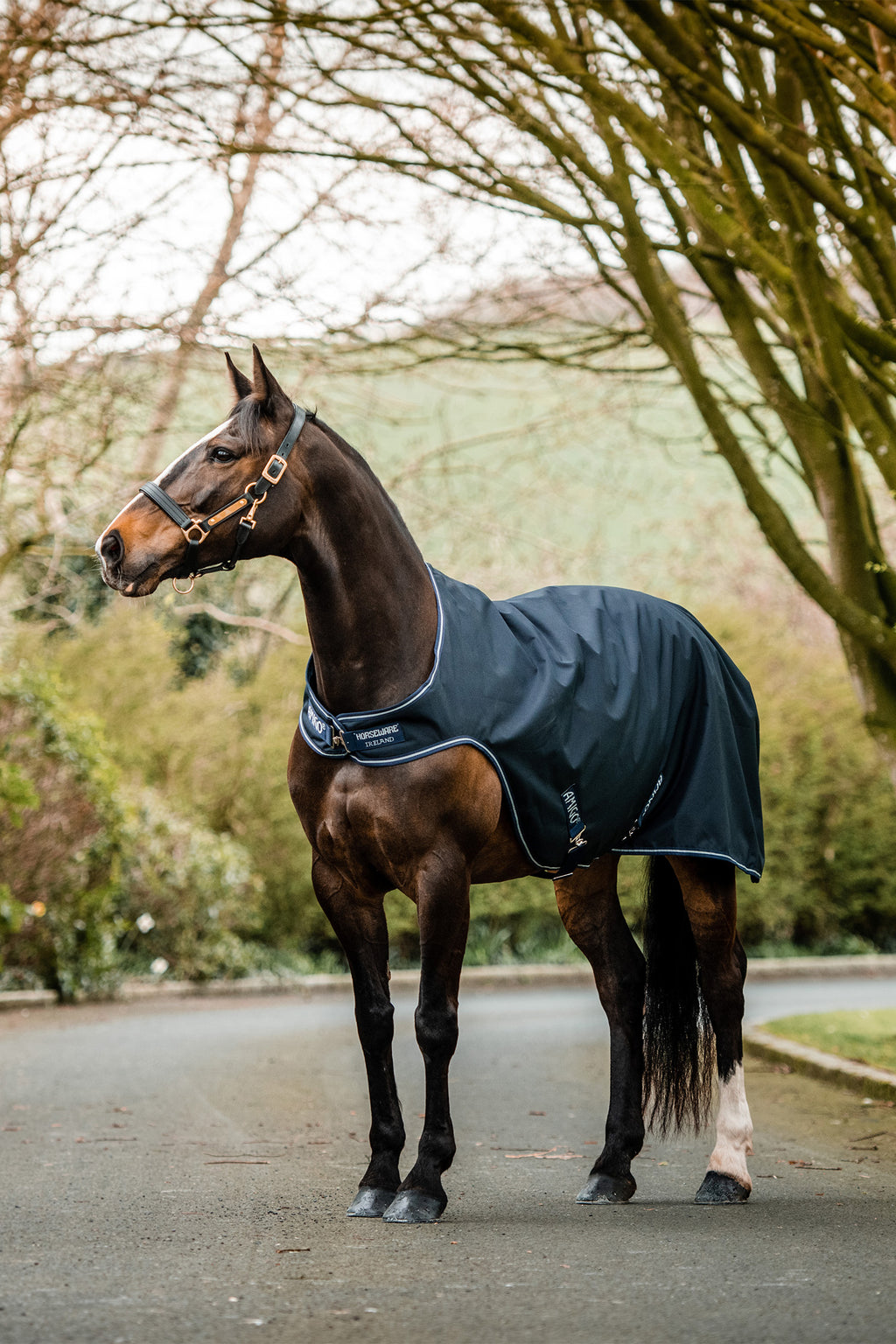 Amigo Walker Täcke 100g – Svensk Ridsport
