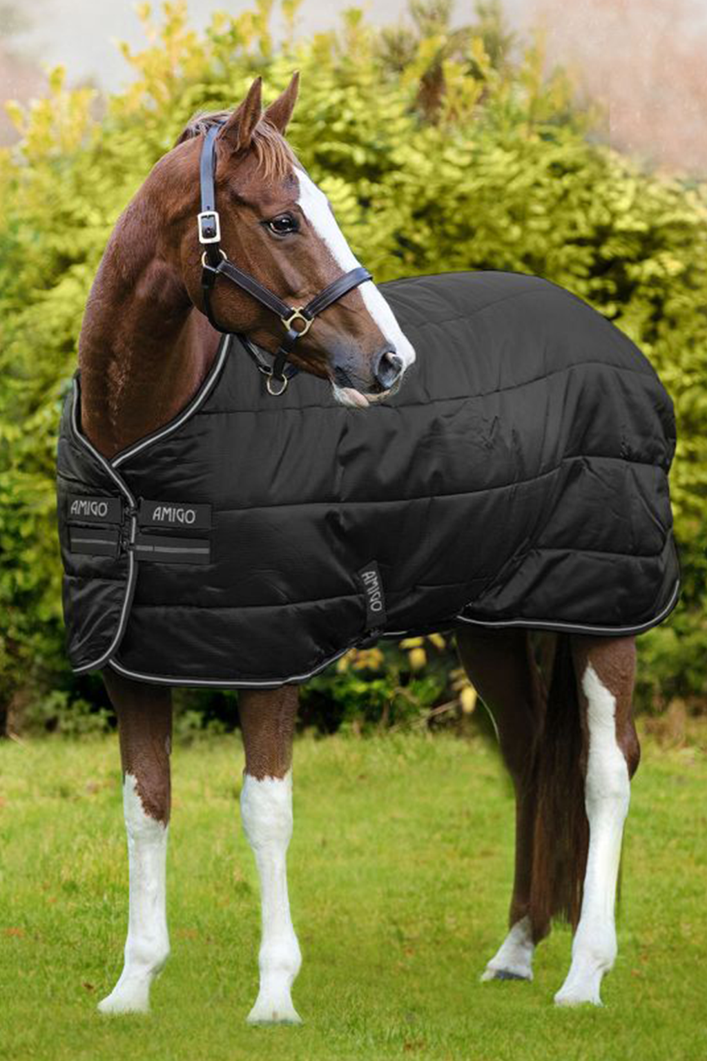 Amigo Diamond Insulator 100g – Svensk Ridsport