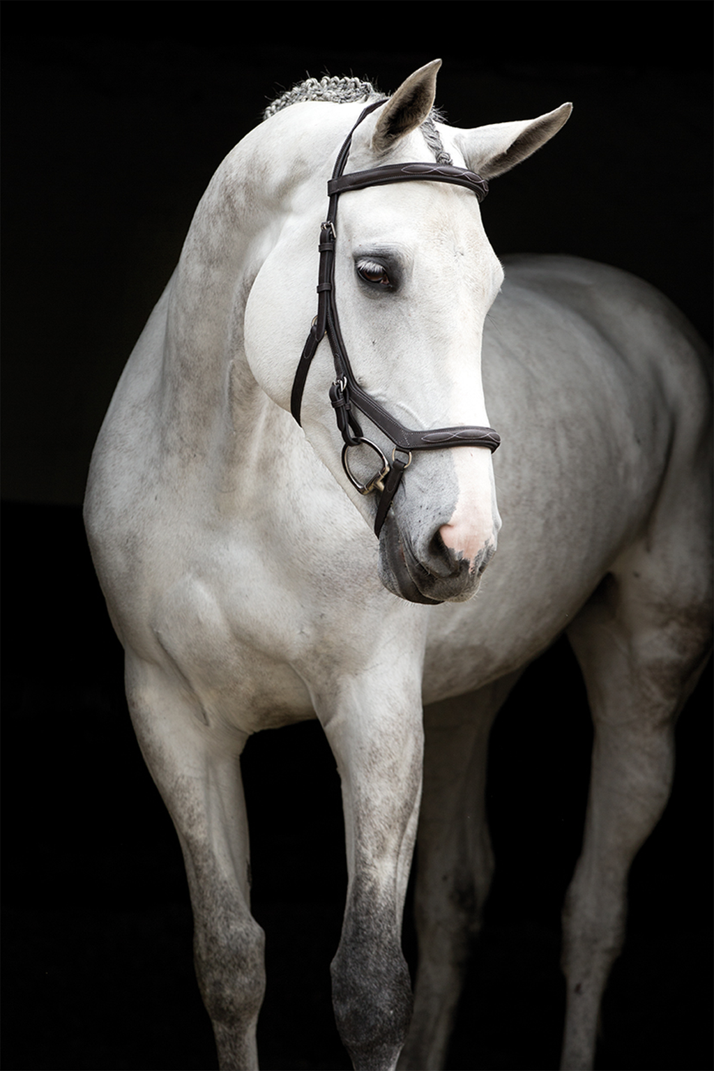 Rambo Micklem Träns Deluxe – Svensk Ridsport