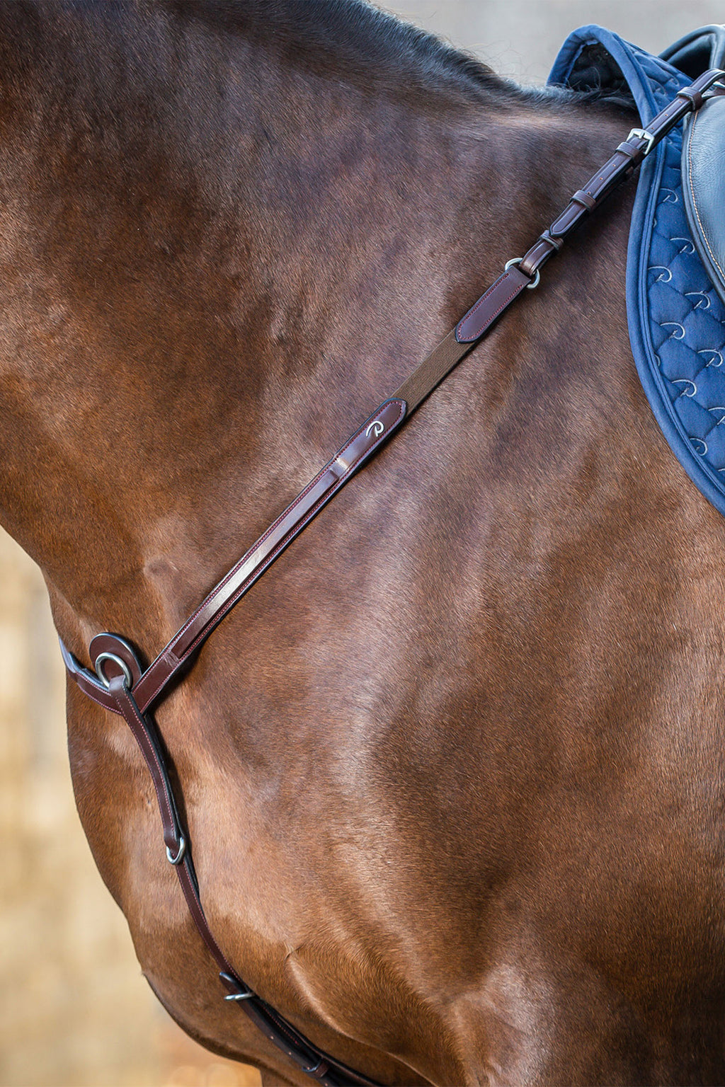 Brösta New English Collection Brun – Svensk Ridsport