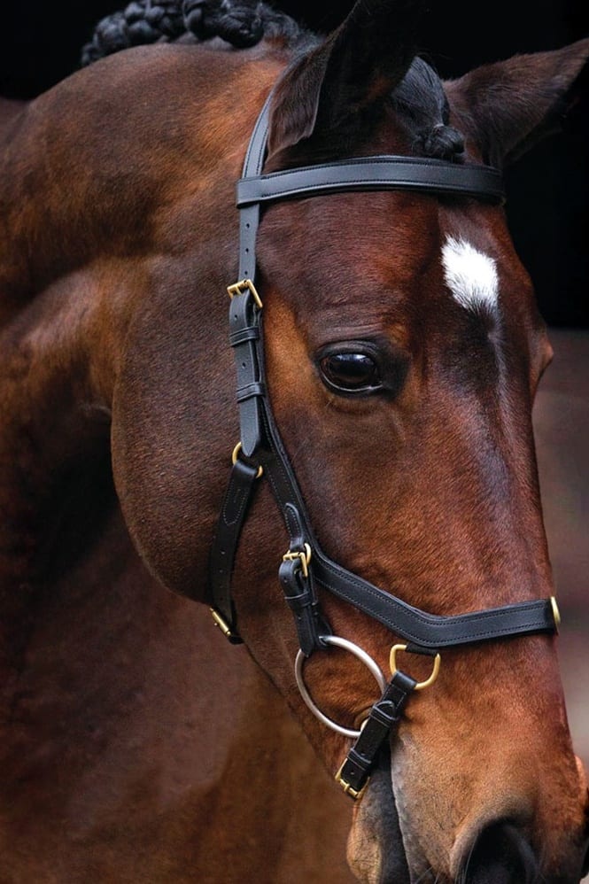 Rambo Micklem Träns Multi – Svensk Ridsport