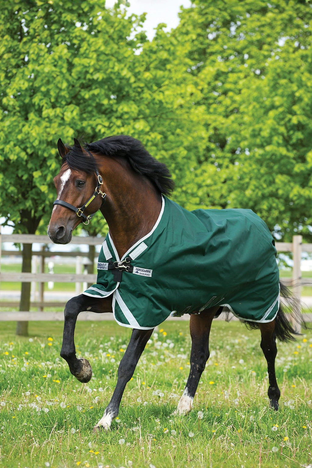 Rambo Original Utetäcke 0g – Svensk Ridsport