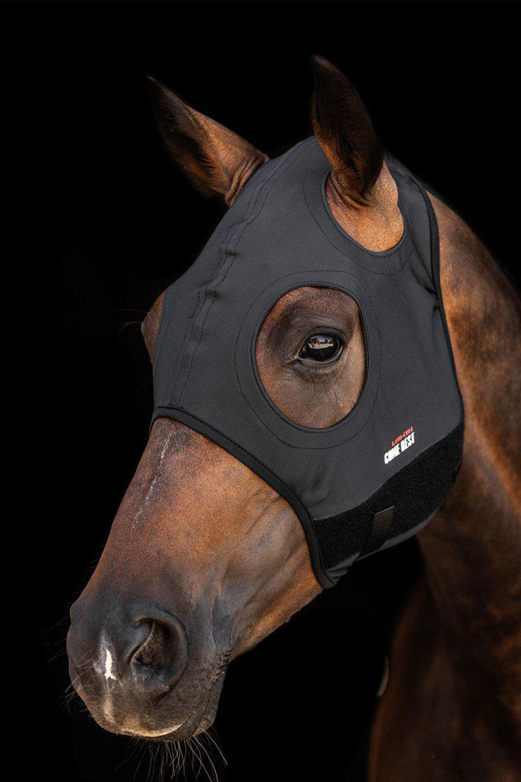 Titanium Mask Utan Öron – Svensk Ridsport