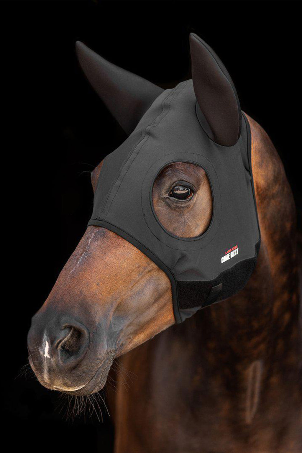 Titanium Mask Soundless – Svensk Ridsport